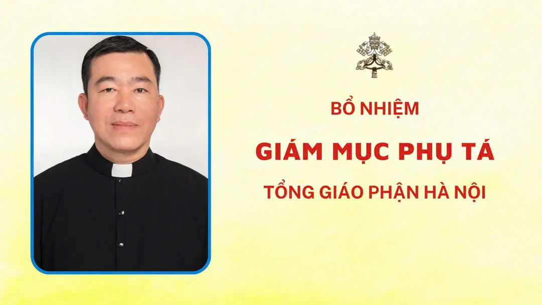 BỔ NHIỆM GIÁM MỤC PHỤ TÁ TỔNG GIÁO PHẬN HÀ NỘI